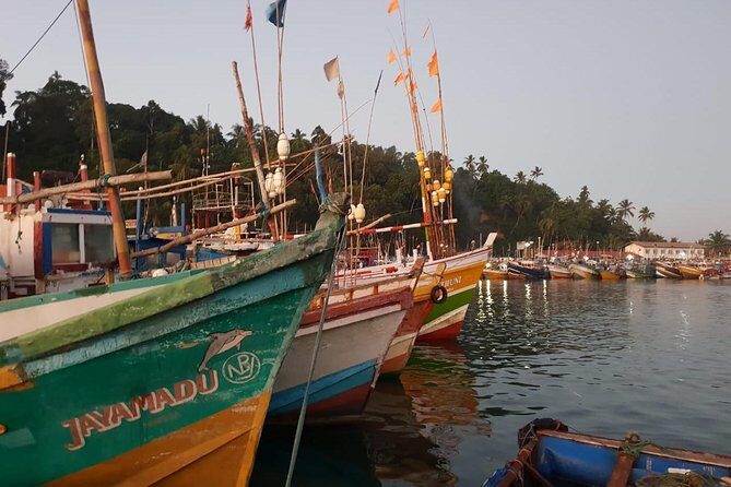 Day tour of Galle - What You Need to Know About Costs and Extras