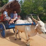 Day Tour of Sigiriya - Practical Considerations