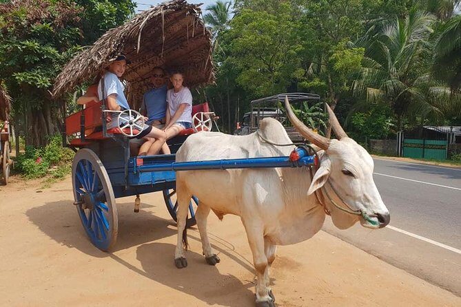 Day Tour of Sigiriya - Practical Considerations