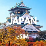 Day Tour to Asahiyama Zoo Biei Blue Pond Furano by Private Car - Who Will Benefit Most?