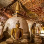 Day Tour to Dambulla & Sigiriya - The Value of This Tour