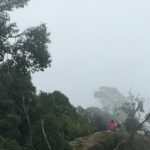 Day Tour to Dhampus with 4WD - Transport and Comfort