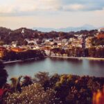 Day Tour to Kandy From Colombo - Who Is This Tour Best For?