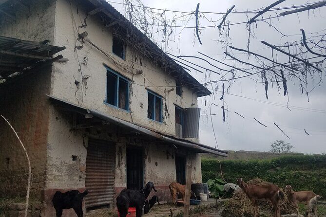 Day Tour to Kunchepwakal Village Culture & Scenic Landscapes - What You Wont Find: Limitations and Considerations