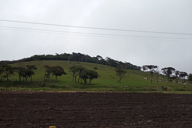 Day tour to Nuwaraeliya from Kandy - What You Can Expect from the Experience
