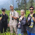 Day tour to Nuwareeliya (Little England) from Kandy - What You Get for the Price