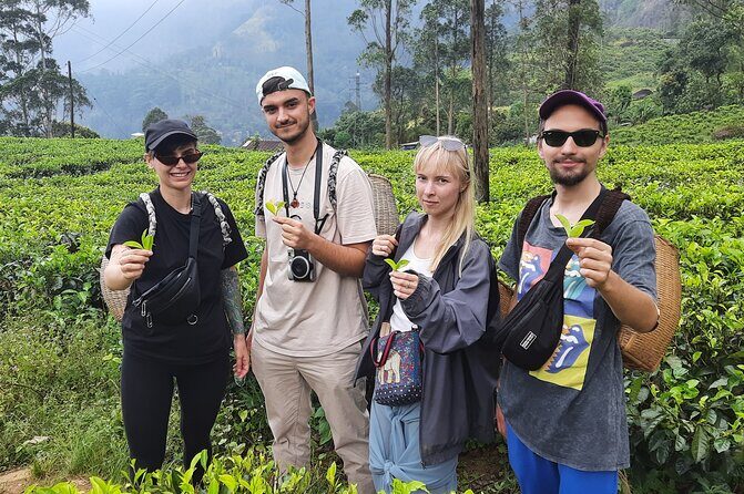 Day tour to Nuwareeliya (Little England) from Kandy - What You Get for the Price