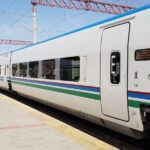 Day Tour to Samarkand from Tashkent by train. - Making the Most of Your Day