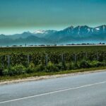 Day Tour to Shahrisabz  Birthplace of Amir Temur - Cost and Value Considerations