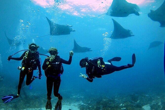 Day Trip Discover Scuba dive in Nusa Penida 2 dives (From Sanur - South Bali) - What Makes This Tour Stand Out