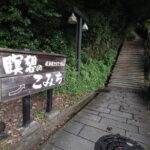 Day Trip Gifu Highlight Tour by Public Transportation from Nagoya - Practical Details and Cost-Value Analysis