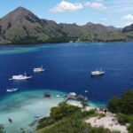 Day Trip Komodo Island With Speedboat in Labuhan Bajo - Price and Value