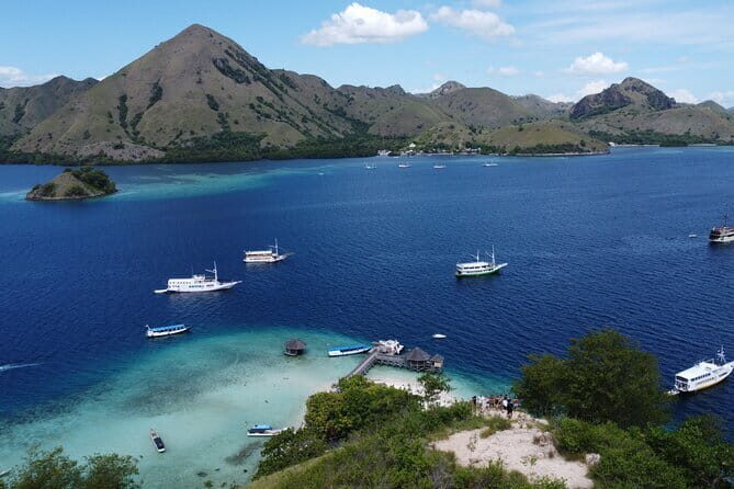 Day Trip Komodo Island With Speedboat in Labuhan Bajo - Price and Value