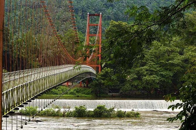 Day Trip to Athirappilly Water Falls by Kochi Taxi - Detailed Itinerary Breakdown