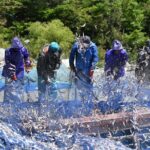 Day trip to beautiful Korean marine national park, Hallyeohaesang - What Travelers Love About This Tour