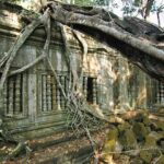Day Trip to Beng Mealea Temple and Kampong Khleang from Siem Reap - Why This Tour Offers Good Value