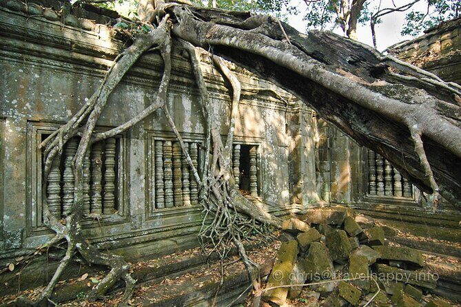 Day Trip to Beng Mealea Temple and Kampong Khleang from Siem Reap - Why This Tour Offers Good Value