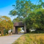 Day Trip to Duong Lam Ancient Village from Hanoi - What to Expect from This Tour