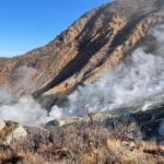 Day Trip to Hakone from Tokyo with National Licensed Guide - Frequently Asked Questions