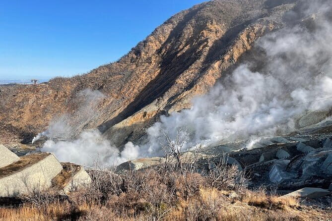 Day Trip to Hakone from Tokyo with National Licensed Guide - Frequently Asked Questions