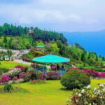 Day Trip to Kalimpong (Guided Private Sightseeing Experience from Darjeeling) - Practical Aspects and Value for Money