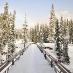 Day Trip to Lake Louise, Moraine Lake, Emerald Lake from Banff - Moraine Lake: A Must-See with an Unforgettable View