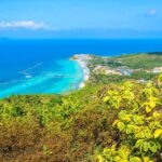 Day Trip to Pattaya City & Koh Larn Island Tour From Bangkok - What Travelers Can Expect