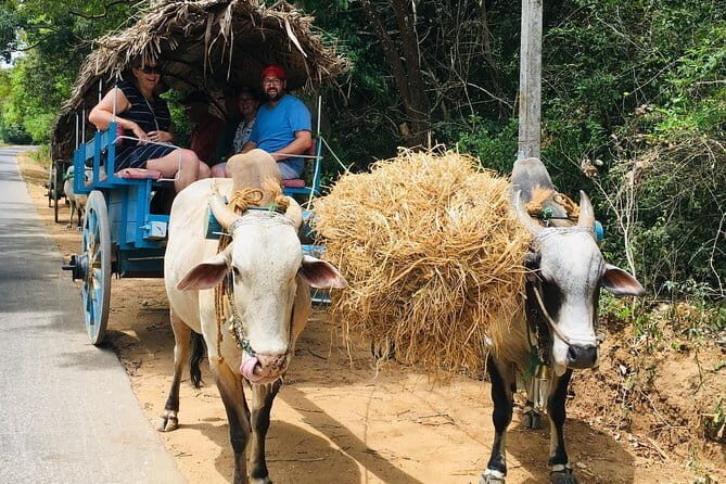 Day trip to Sigiriya and Dambulla from Kandy - The All-Inclusive Feeling of a Carefully Planned Day