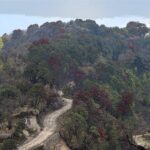 Day Trip to Singalila (Guided Private Sightseeing Experience from Darjeeling) - What’s Included and What’s Not