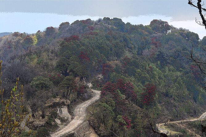 Day Trip to Singalila (Guided Private Sightseeing Experience from Darjeeling) - What’s Included and What’s Not