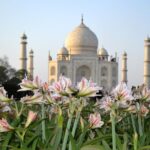 Day trip to Taj Mahal and Agra from Kochi with Return Flights - The Value Factor: Is It Worth It?