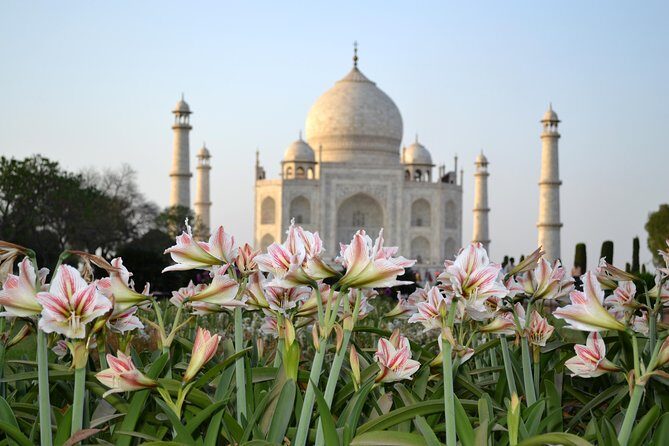 Day trip to Taj Mahal and Agra from Kochi with Return Flights - The Value Factor: Is It Worth It?