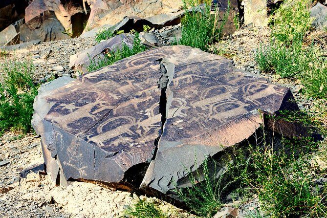Day Trip to Tanbaly Petroglyphs - Who Will Love This Tour?
