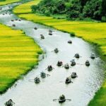 Day Trip to the Ancient Capital of Ninh Binh from Hanoi - Practical Details: What to Know