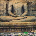 Day Trip to the Ancient Capital of Polonnaruwa From Colombo - An In-Depth Look at the Tour Experience