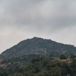 Day trip to Tiruvannamalai Temple &Sri Ramana Ashram from Pondicherry with lunch - The Practical Side: Transportation, Timing, and Comfort