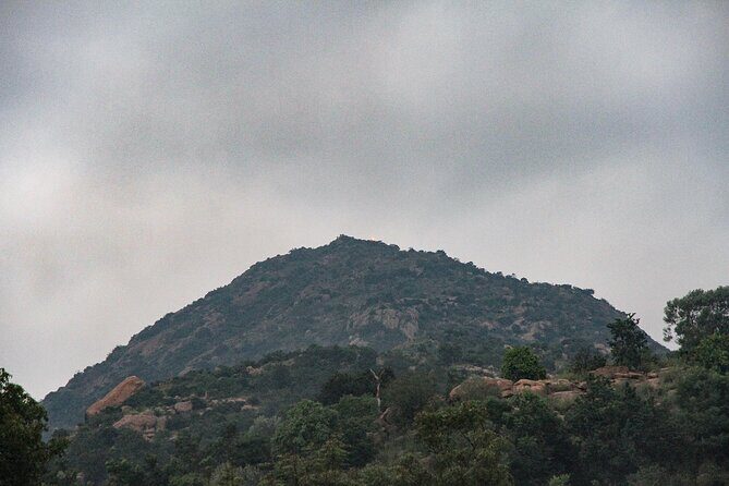 Day trip to Tiruvannamalai Temple &Sri Ramana Ashram from Pondicherry with lunch - The Practical Side: Transportation, Timing, and Comfort