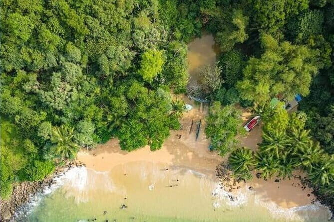 Day trips to Galle from colombo Visiting Its Highlights - Who Will Love This Tour?