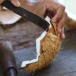 Day with a Balinese Family in a Village - What Travelers Are Saying: Authentic Praise