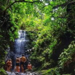 Daytrip to Taman Negara National Park With Teras Waterfall - The Journey to Malaysia’s Oldest National Park