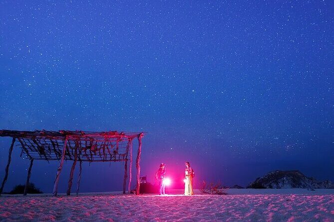 DE rismo and Night Monitoring of Sea Turtles - The Sum Up