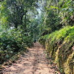 Dediyagala Village Tour(from Galle, Mirissa, Ahangama, Matara) - Practical Considerations for Travelers