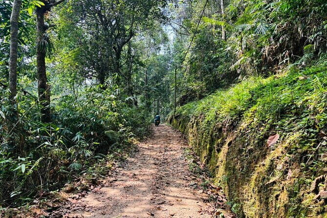 Dediyagala Village Tour(from Galle, Mirissa, Ahangama, Matara) - Practical Considerations for Travelers