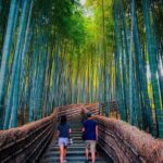 Deep Kyoto Tour in Private Van - guided by Local Expert - Authenticity and Review Highlights