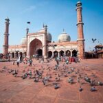 Delhi in One Day - Private Delhi Sightseeing Tour - Price and Value