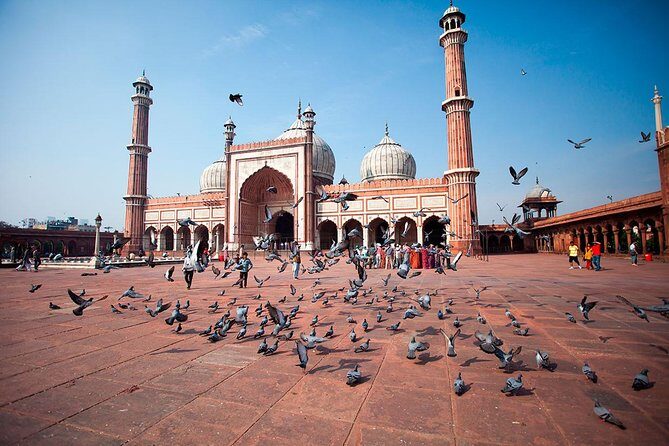 Delhi in One Day - Private Delhi Sightseeing Tour - Price and Value