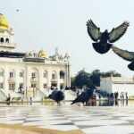 Delhi Mega Kitchen Tour - Final Thoughts: Is the Delhi Mega Kitchen Tour Worth It?