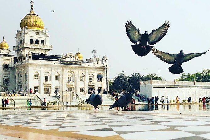 Delhi Mega Kitchen Tour - Final Thoughts: Is the Delhi Mega Kitchen Tour Worth It?