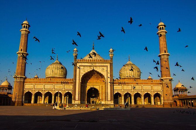 Delhi: Old and New Delhi Private Full or Half-Day Tour - Transportation & Comfort