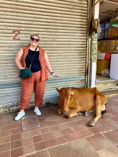 Delhi: Old Delhi's Street Food, Temples & Spice Market Tour - The Value